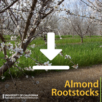 Almond Rootstock Comparison Chart | Fruit & Nut Research & Information ...